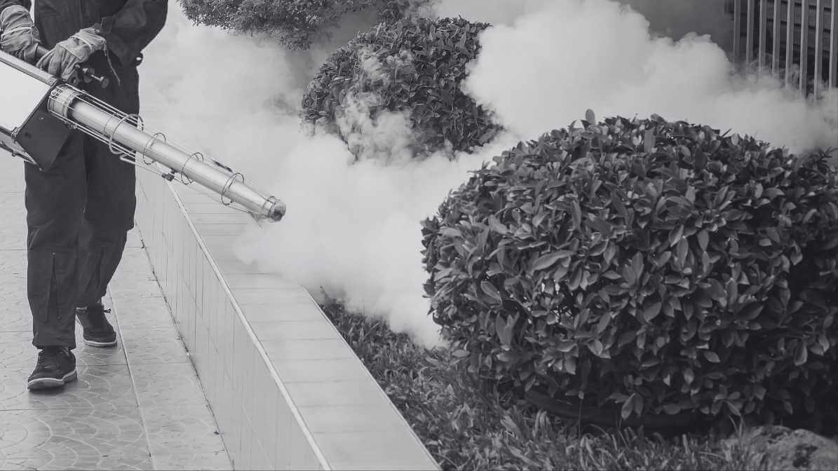 Between Fogging & Misting Service, Which Works Best? | MY