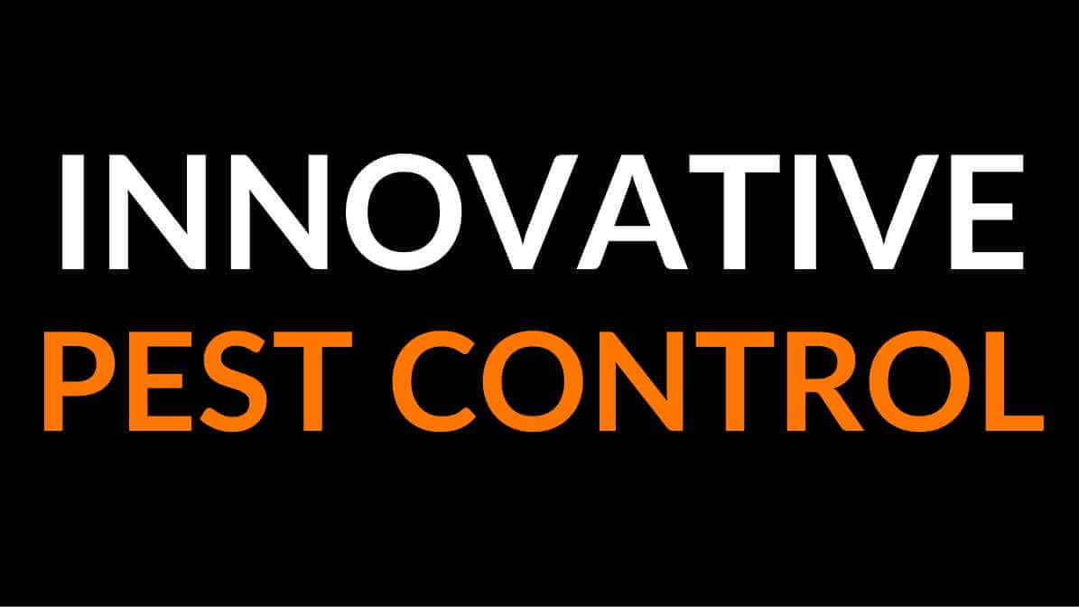 Pest Control Services in Malaysia | Residential & Commercial
